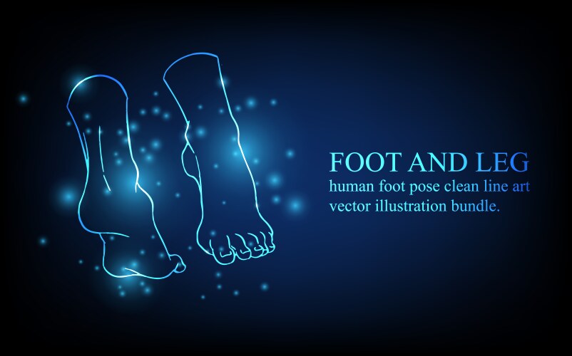 Human foot line and leg knee toe digital Vector Image