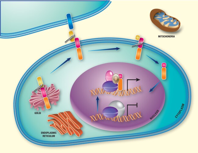 Cell Vector Images (over 410,000)
