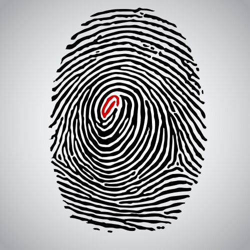 Fingerprint Vector Images (over 37,000)
