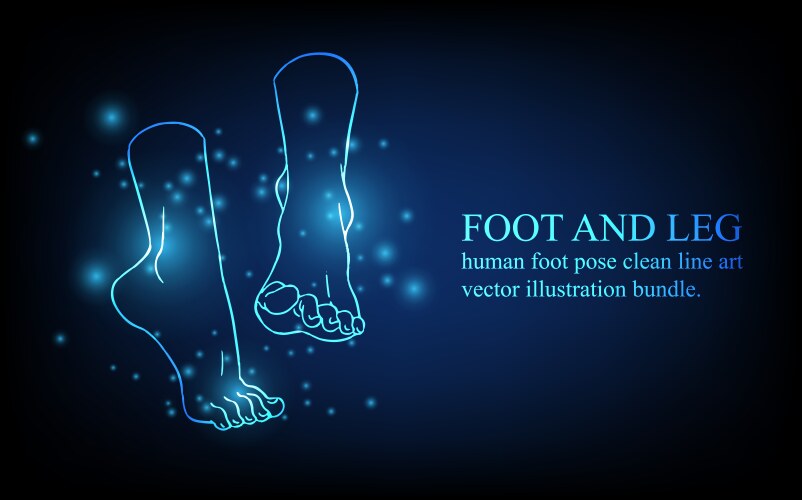 Human foot line and leg knee toe digital Vector Image