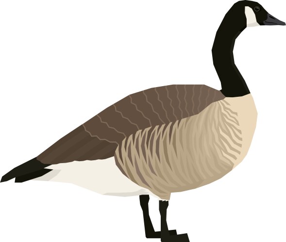 Goose Vector Images (over 30,000)