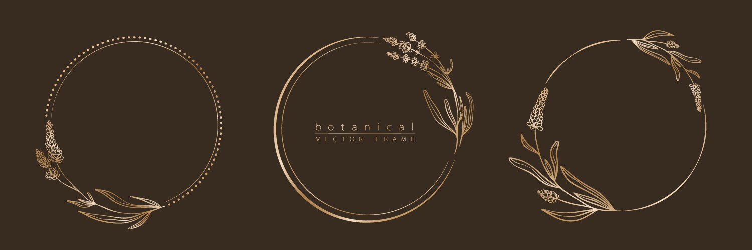 Botanical golden circle frame set Royalty Free Vector Image
