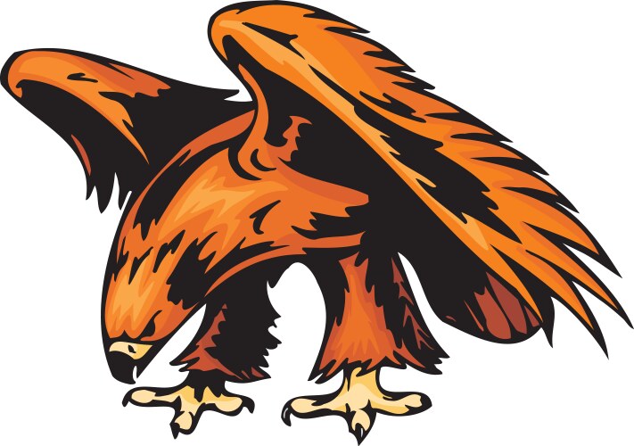 Wild eagle on white background Royalty Free Vector Image