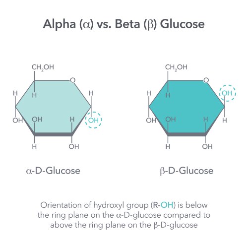 Alpha Glucose Vector Images (40)
