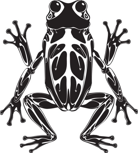 Frog skeletal silhouette logo design amphibian Vector Image