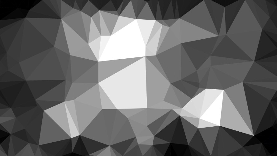 Low poly abstract black and white background Vector Image
