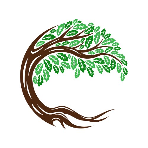 Oak Tree Vector Images (over 59,000)