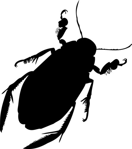 Beatles Beetles Vector Images (84)