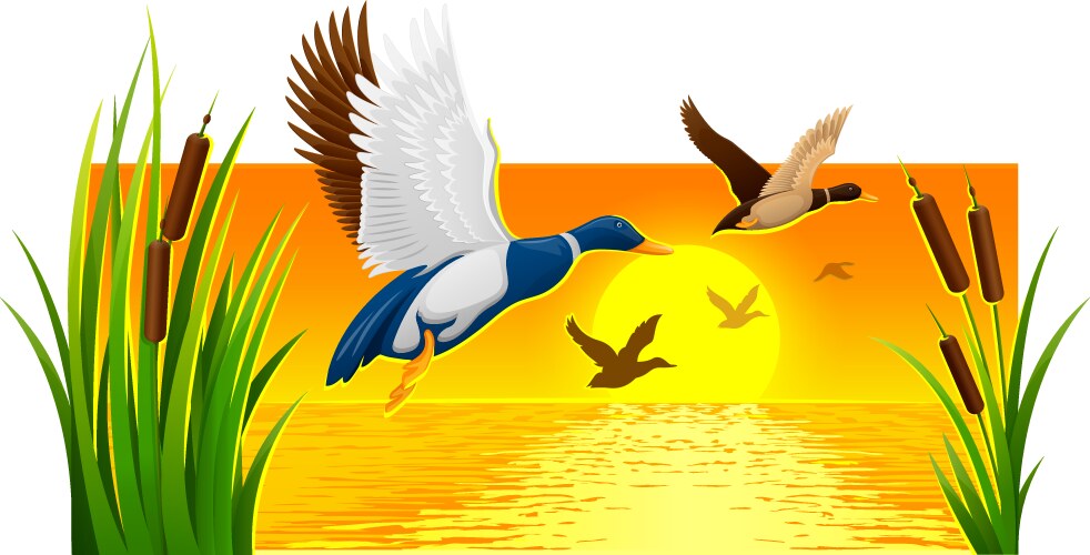 Ducks Vector Images (over 59,000)