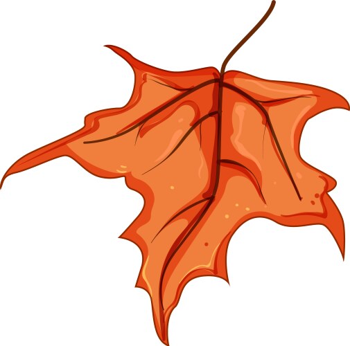 Red maple leaf cartoon Royalty Free Vector Image