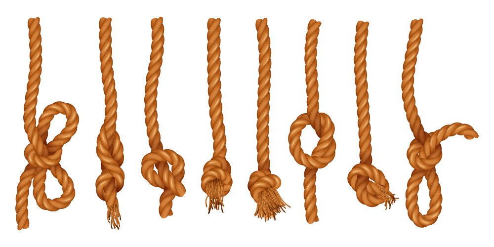 Ropes Vector Images (over 120,000)