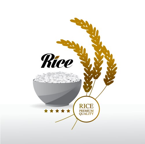 Premium rice great quality design concept Vector Image