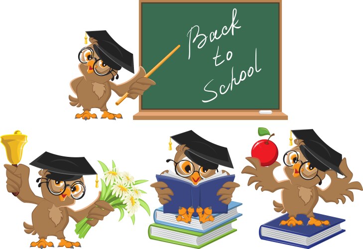 Owl school teacher birds characters teaching Vector Image