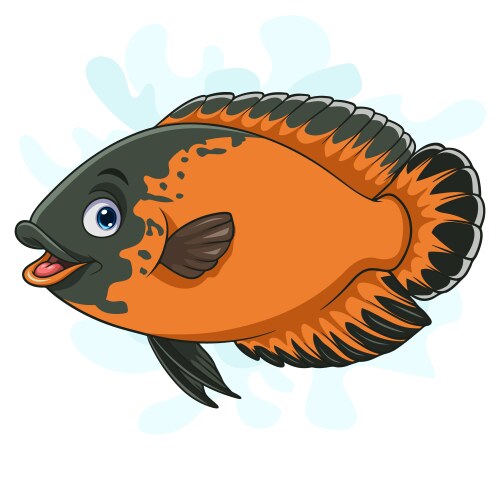 Cartoon flowerhorn fish on white background Vector Image
