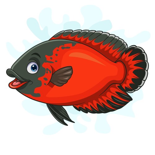 Cartoon flowerhorn fish on white background Vector Image