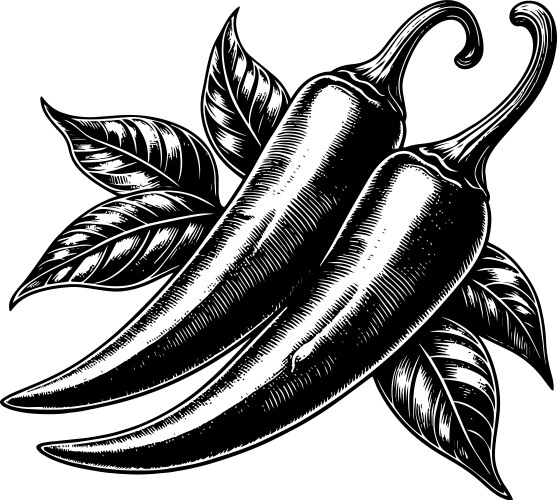 Chili Pepper Black and White Vector Images (over 2,600)