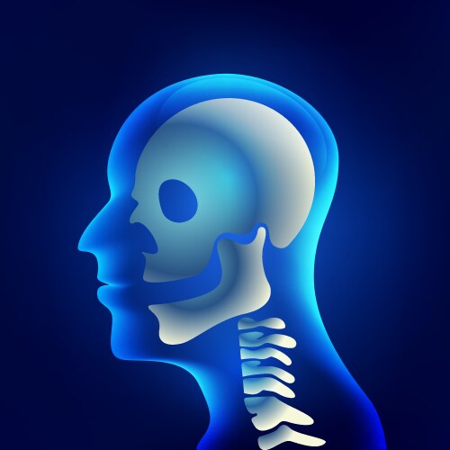 Skull Vector Images (over 220,000)