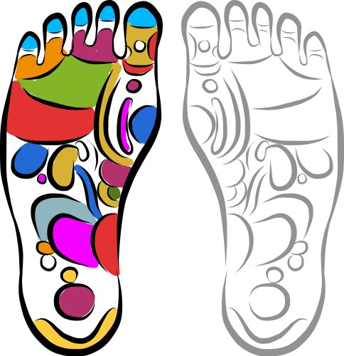 Foot Reflexology Vector Images (over 2,300)