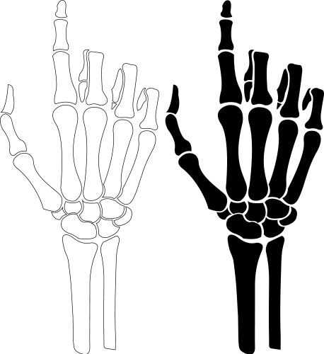 Skeleton Middle Finger Vector Images (85)