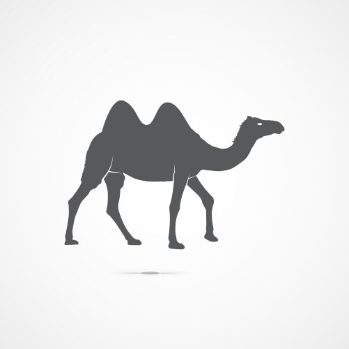 Camel Vector Images (over 19,000)