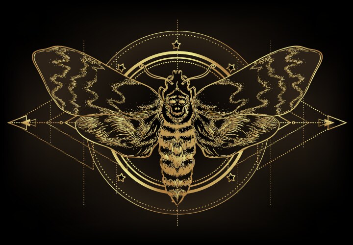 Golden moth over sacred geometry sign isolated Vector Image
