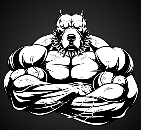 Strong ferocious dog Royalty Free Vector Image