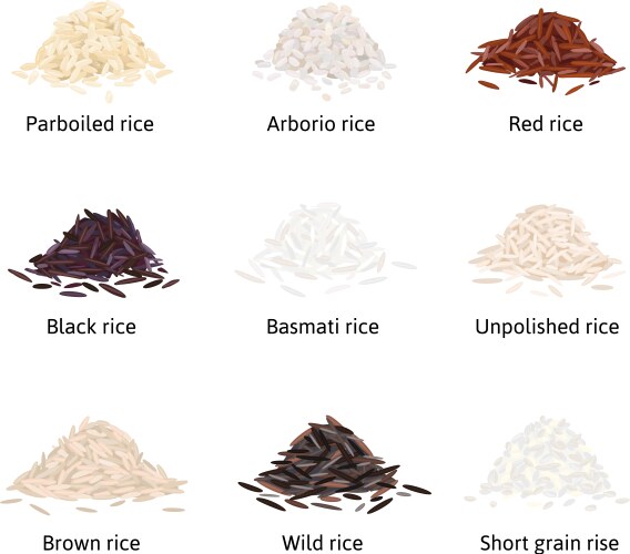Rice Vector Images (over 83,000)