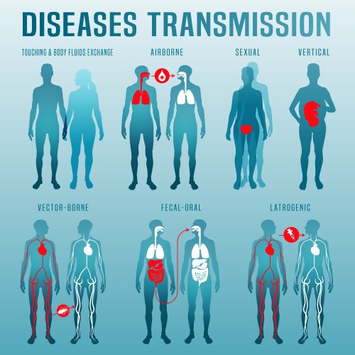 Disease transmission infographics Royalty Free Vector Image