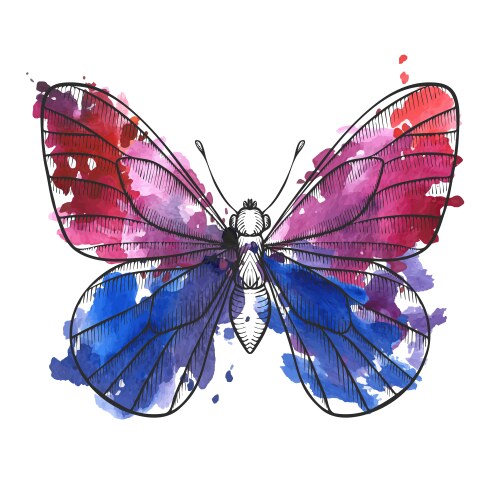 Hand drawn red admiral butterfly Royalty Free Vector Image