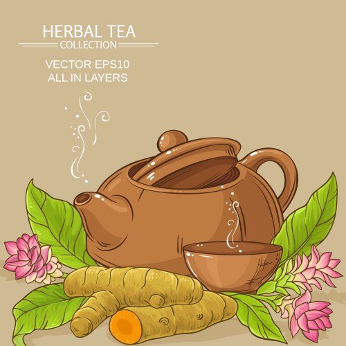 Turmeric tea Royalty Free Vector Image - VectorStock