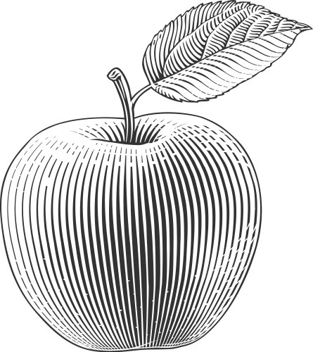 Apple Black and White Vector Images (over 75,000)