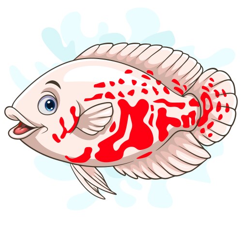 Cartoon flowerhorn fish on white background Vector Image
