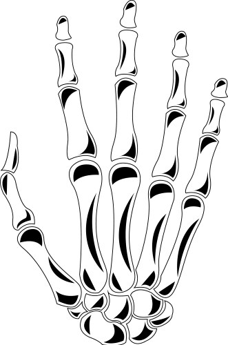 Skeleton hand skull Royalty Free Vector Image - VectorStock