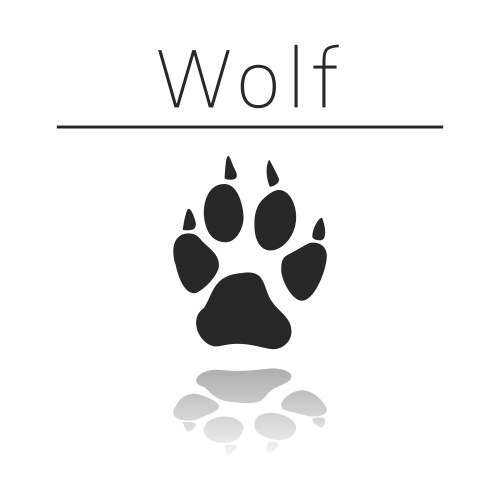 Wolf paw prints track Royalty Free Vector Image