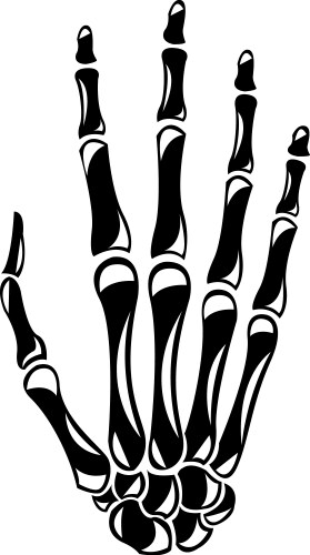 Skeleton Middle Finger Vector Images (85)