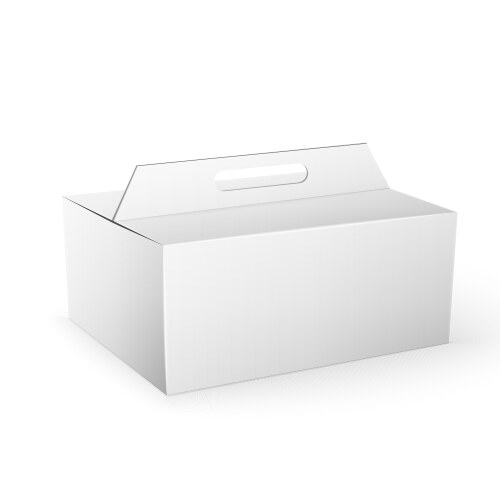 Realistic template blank white package paper box Vector Image