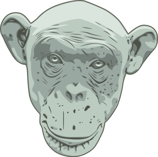 Monkey Vector Images (over 71,000)