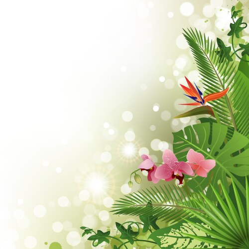 Tropical background Royalty Free Vector Image - VectorStock