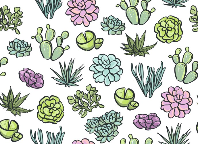 Succulents Vector Images (over 49,000)