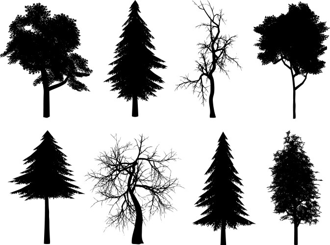 Tree Silhouette Vector Images (over 290,000)