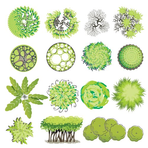 Trees top view Royalty Free Vector Image - VectorStock