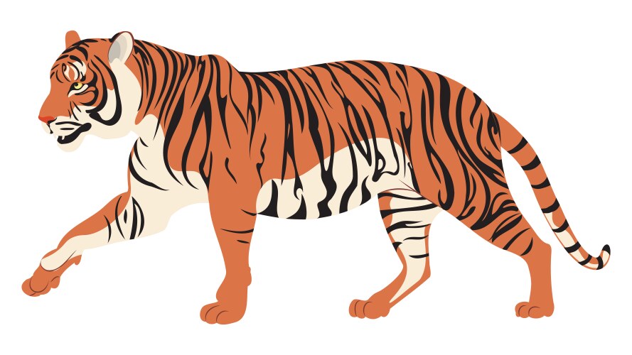 Tiger Walking Cartoon Vector Images (over 1,400)