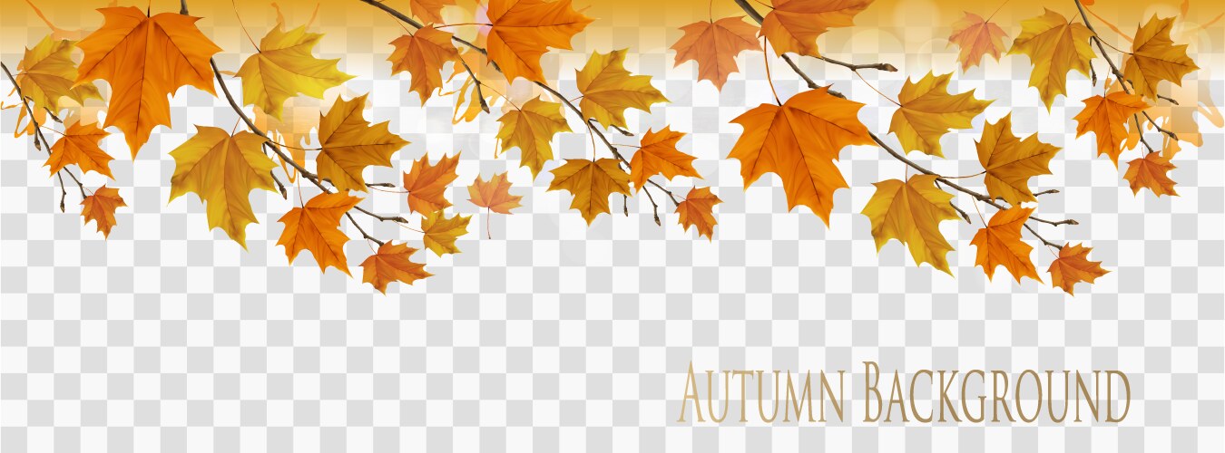 Autumn Border Transparent Background Vector Images (over 520)