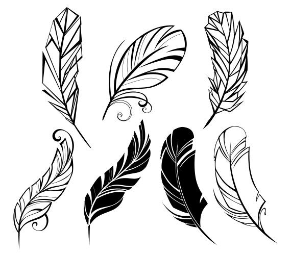 Feather Vector Images (over 260,000)