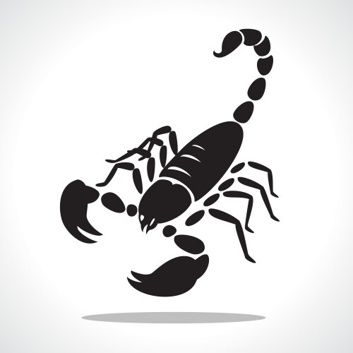 Scorpion Vector Images (over 7,600)