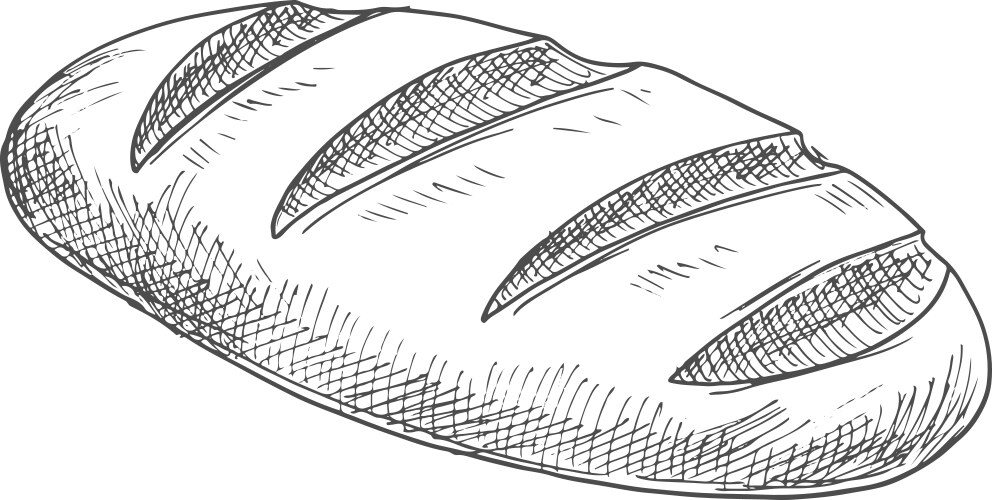 Rustic bread sketch Royalty Free Vector Image - VectorStock
