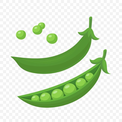 Green peas in a pod Royalty Free Vector Image - VectorStock