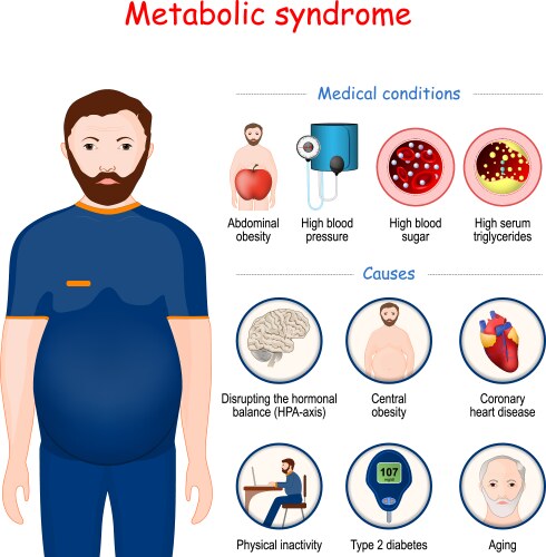 Metabolic syndrome concept icon Royalty Free Vector Image