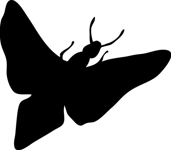 Moth silhouette Royalty Free Vector Image - VectorStock