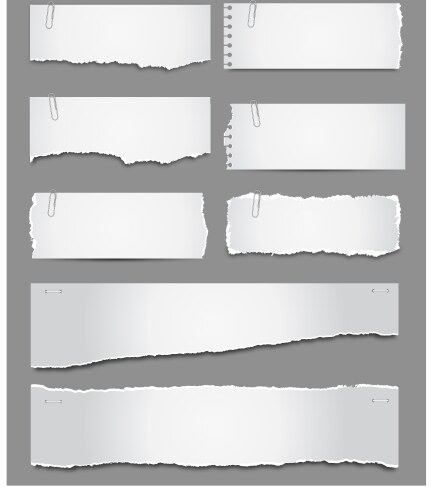 Scrolled paper Royalty Free Vector Image - VectorStock